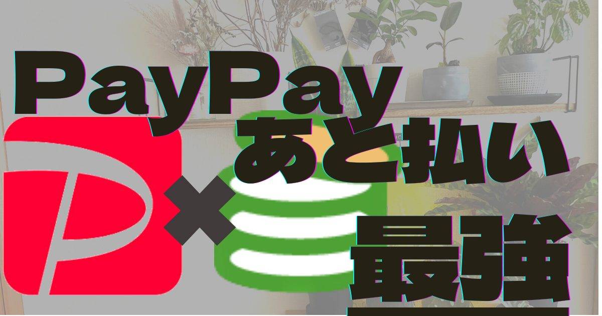 【家計簿自動連携】Zaim歴5年のPayPay管理方法を教えます！PayPayあと払いで簡単自動連携！お得に家計管理する方法 | マネーリーフ〜Money Leaf〜